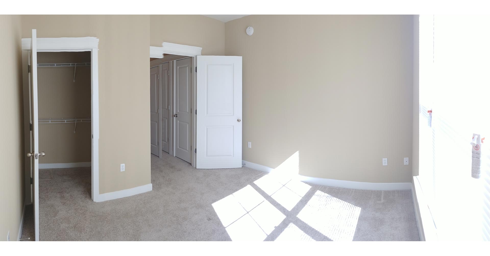 Apartment Gallery | City Flats at Renwick