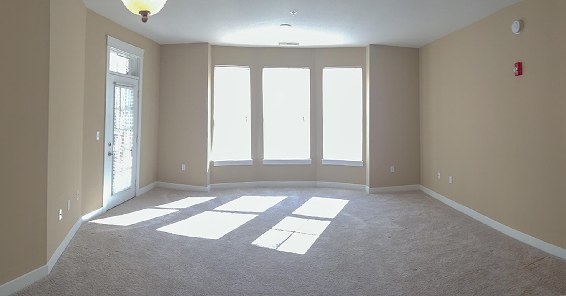 Apartment Gallery | City Flats at Renwick